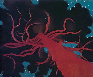 Georgia O’Keeffe’s “Starry Starry Night” - D.H. Lawrence Ranch Initiatives